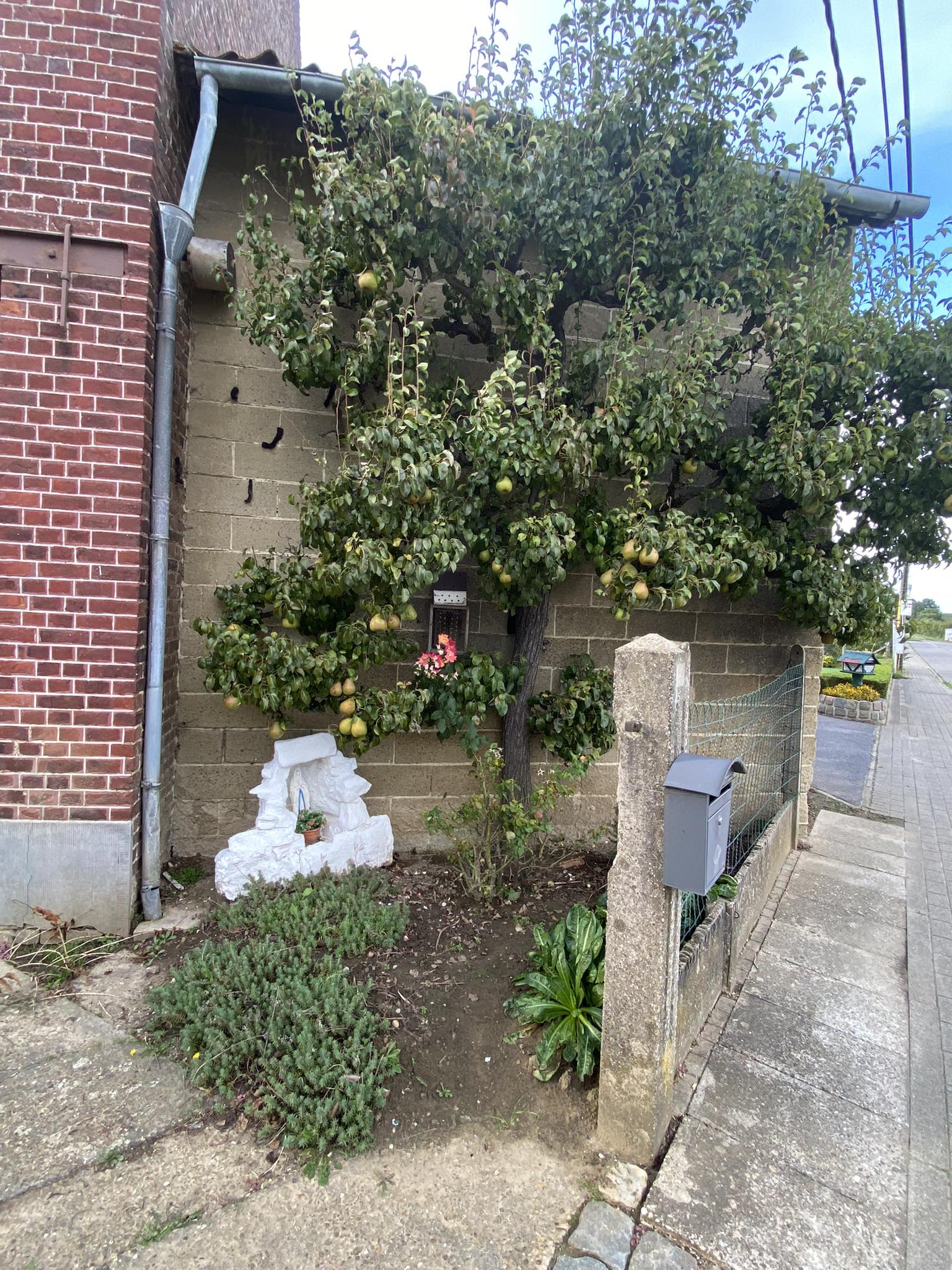 Kortenaken (Waanrode – Oude Diestsestraat 38) * 3/2/14 – https://lourdesgrotten.wordpress.com