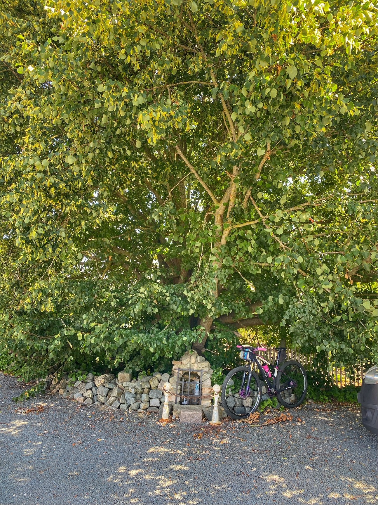 Maarkedal-Etikhove Mussestraat 4 9/7/25 – https://lourdesgrotten.wordpress.com